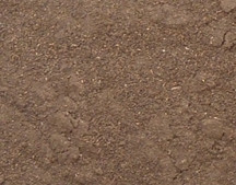 Organic Walnut Hulls 50g | Morning Star Colours