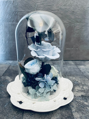 Preserved Princess Rose | CKTS ENTS TRADING