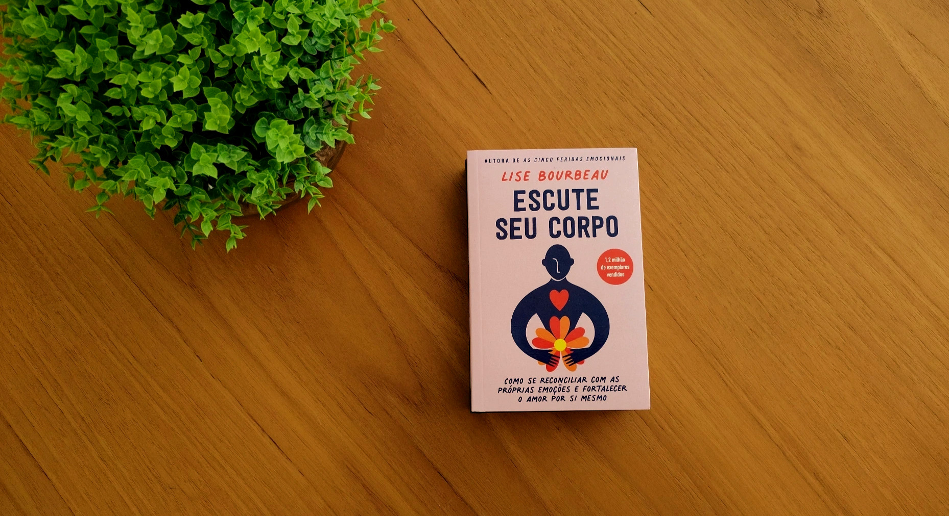 Escute o Seu Corpo: A Sabedoria de Lise Bourbeau e o Poder da Escrita ...