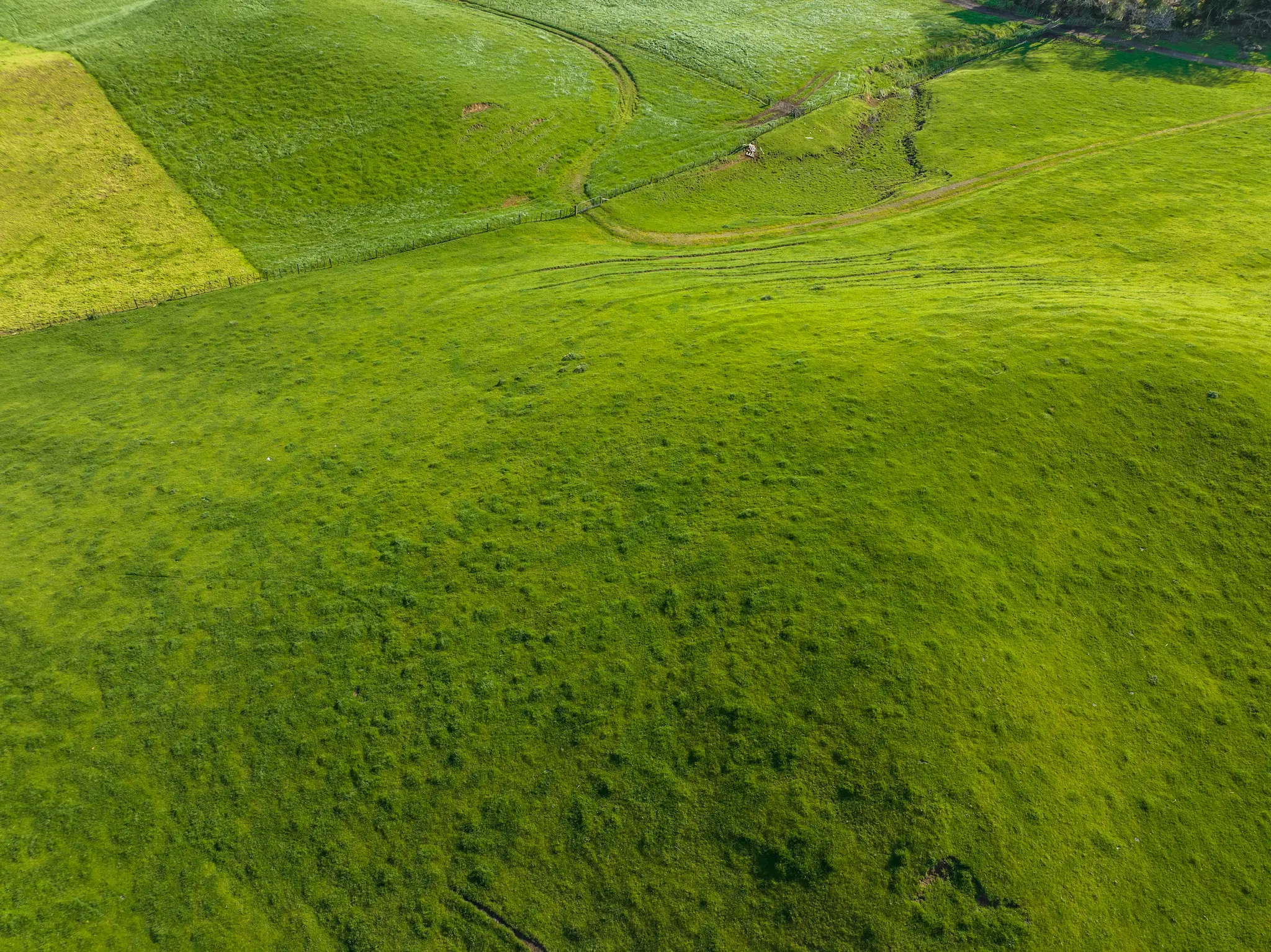 WHY TABULA | Tabula Website