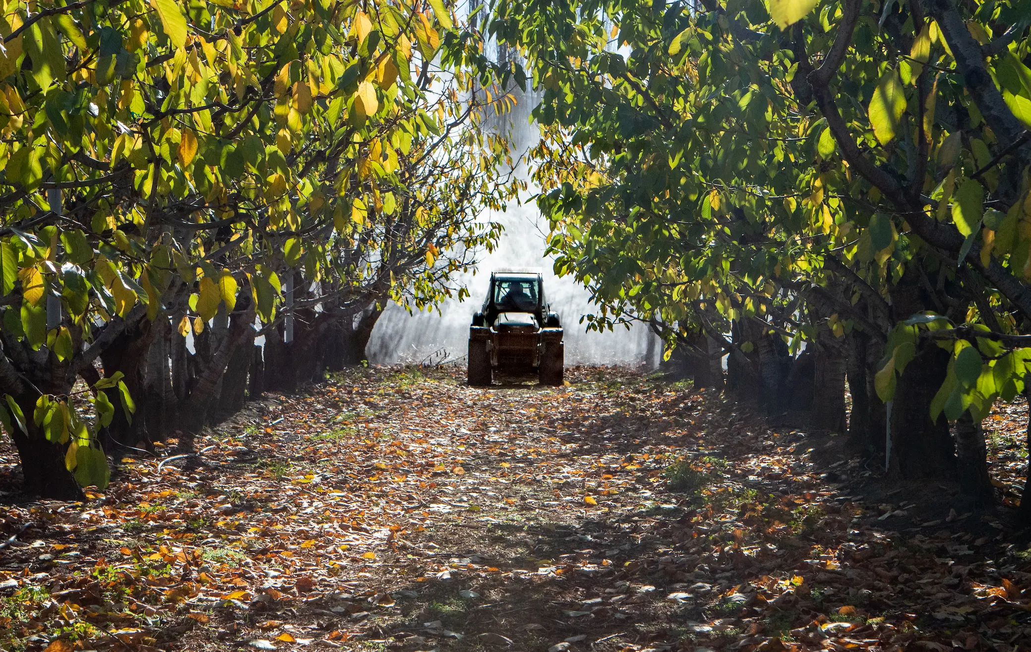 Tabula Spray Controller | Tabula Website