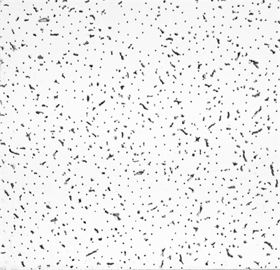 CertainTeed - Ceiling Tiles, Acoustical Systems & Suspension Ceilings ...