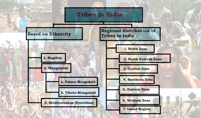 Homogeneous Regions: Central Indian Tribal Belt