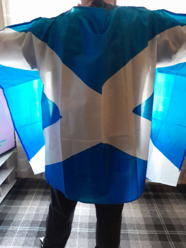 Saltire body Flag | Newindyshop
