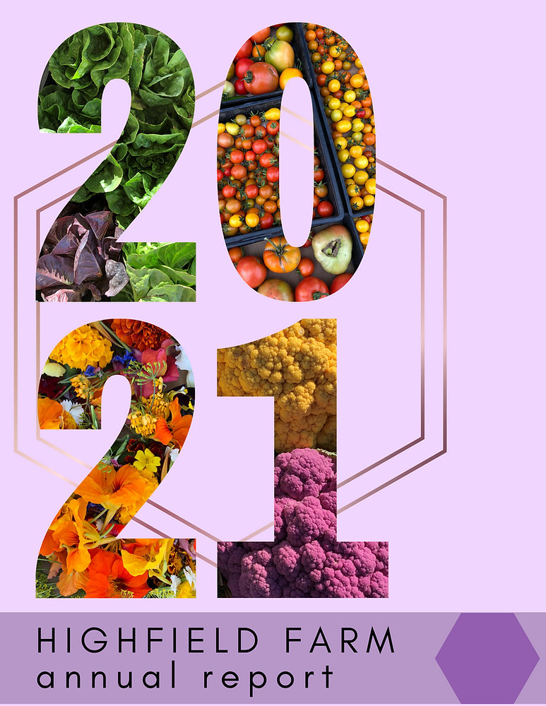 Building Highfield Farm | 2021 Annual Report