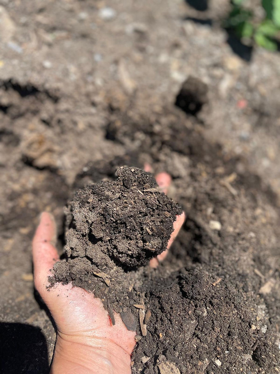 Compost/Soil Mix | Highfield Farm