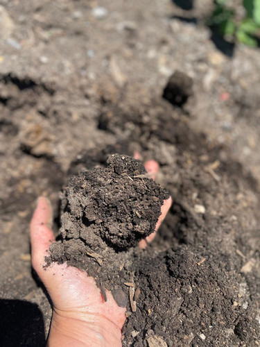 Compost/Soil Mix | Highfield Farm