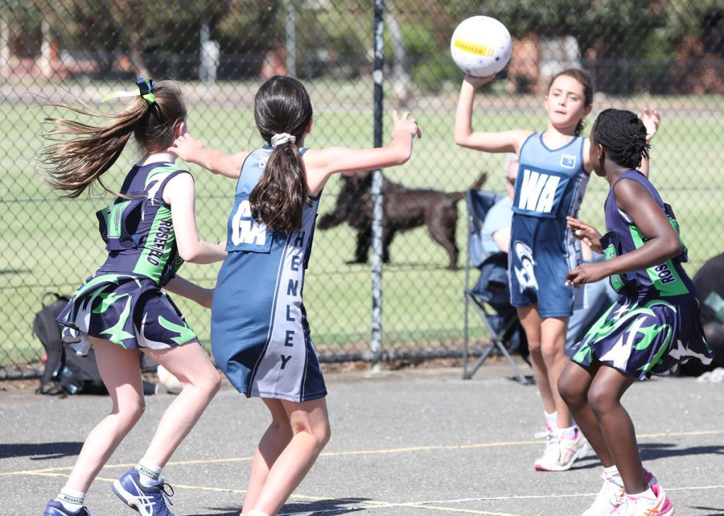 News | Henley Sharks