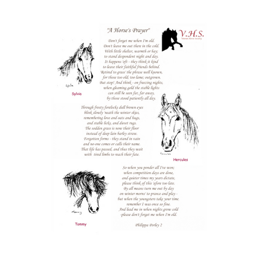 "A Horses prayer" Tea Towel | Vetr Horse Society