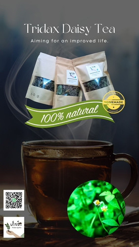 Tridax procumbens Tea | Healthy Herbal Teas