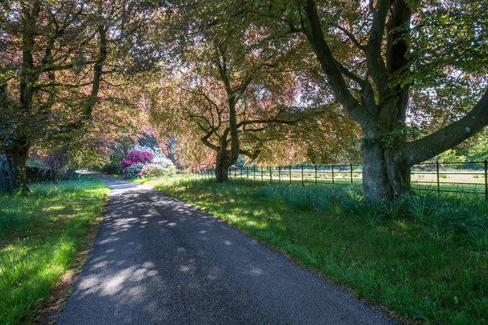 The Studio | Selfcatering apartment at Old Lathrisk | Freuchie near Cupar