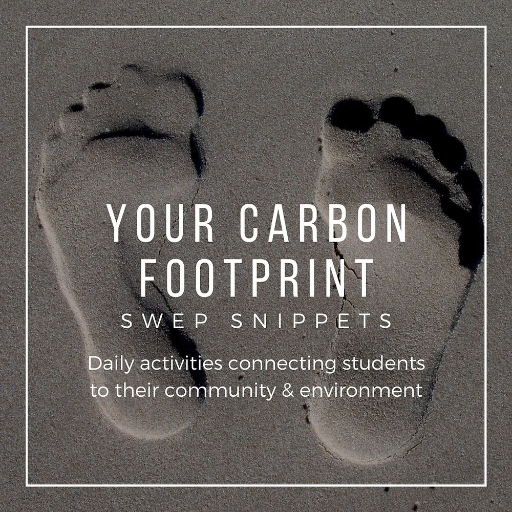 Your Carbon Footprint- Distance Learning