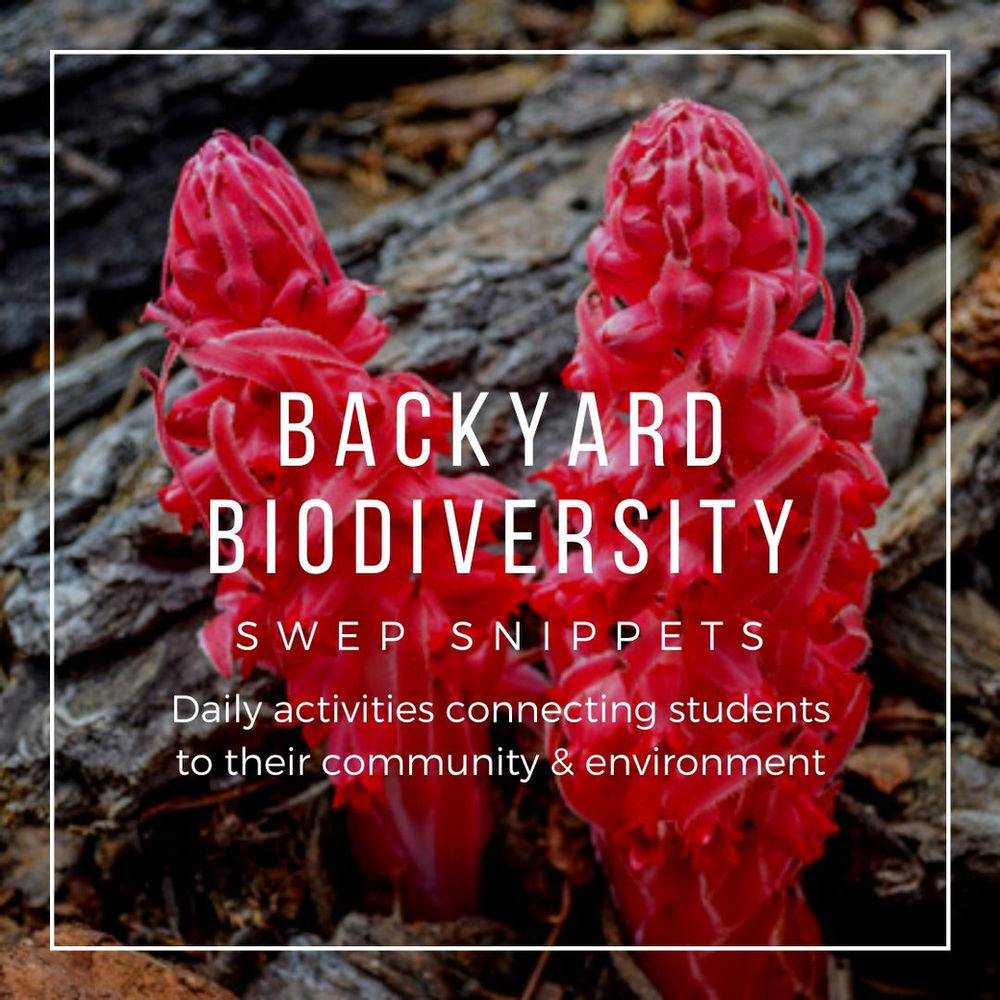 Backyard Biodiversity - Distance Learning