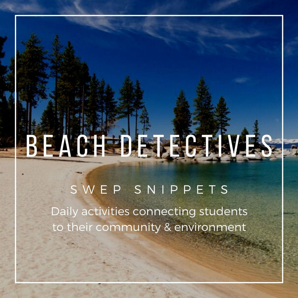 Be A Beach Detective - Distance Learning