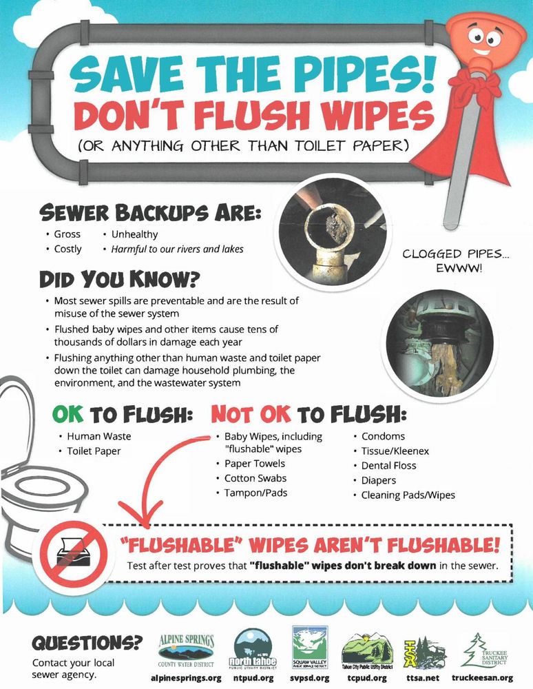 Toilet Science - Online Learning