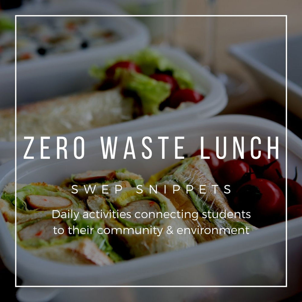 Zero Waste Lunch - Distance Learning