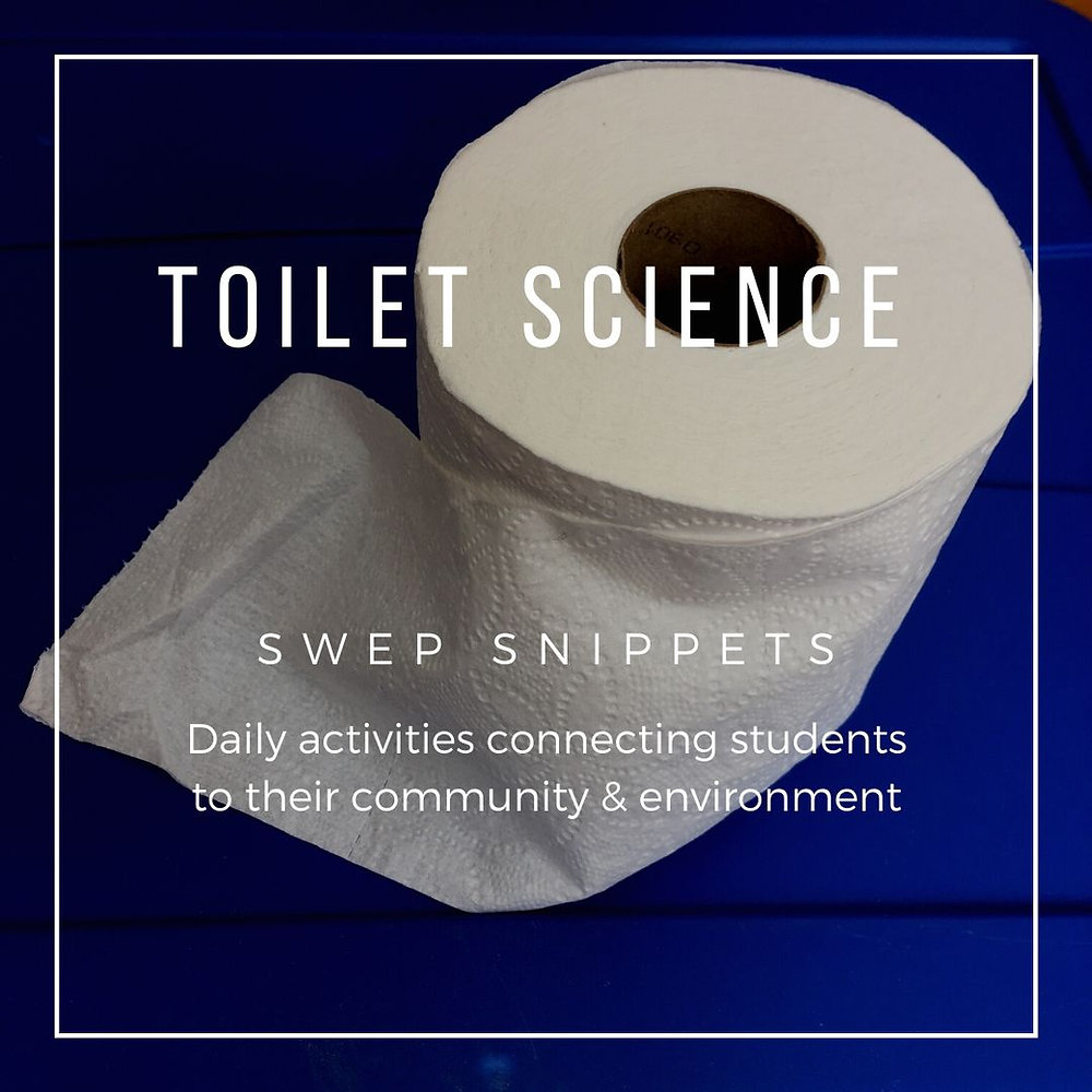 Toilet Science - Online Learning