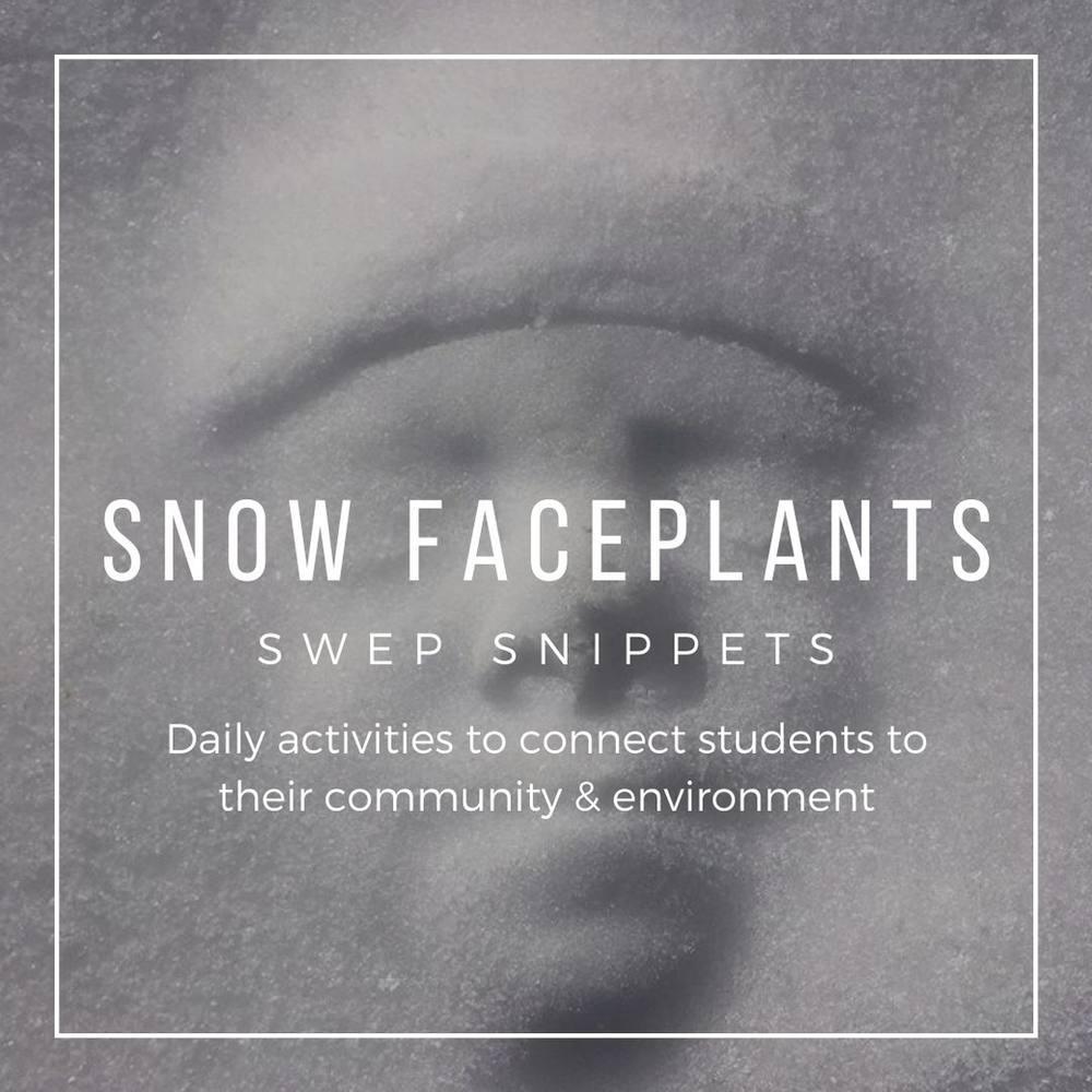 Snow Faceplants - Online Educational Resource