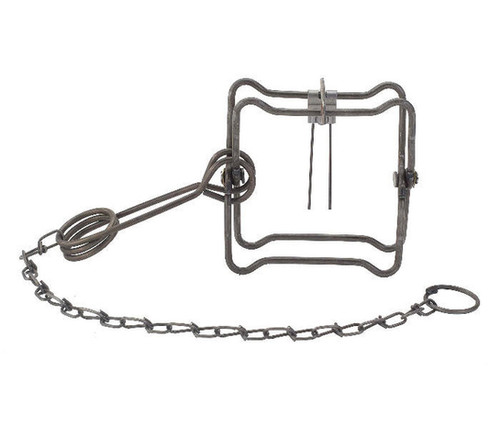 Trapping Products for Women and Kids | Trapping Girl