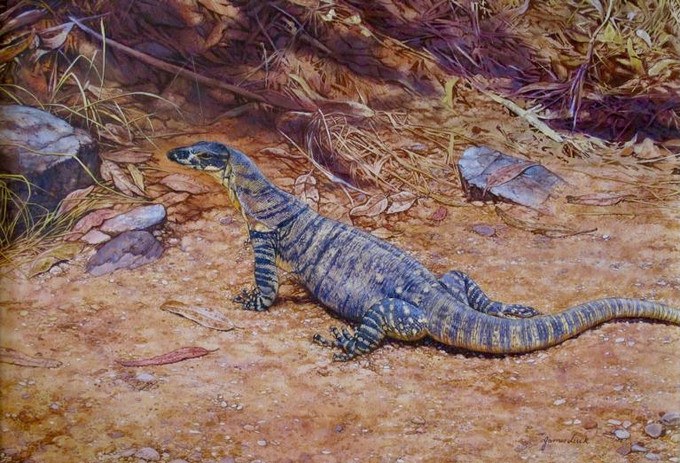 Gallery | James Luck Artist