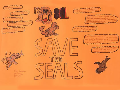 1 - Save the Seals | Our Planet
