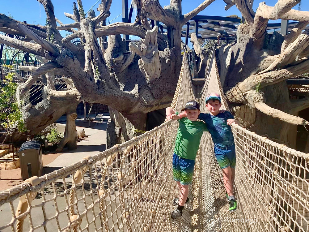 Here's Your Sneak Peek of The New Children's Basecamp at the San Diego Zoo