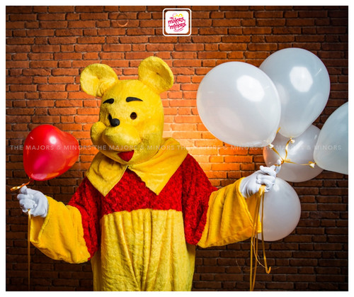 Mr.Pooh | THE MAJORS & MINORS