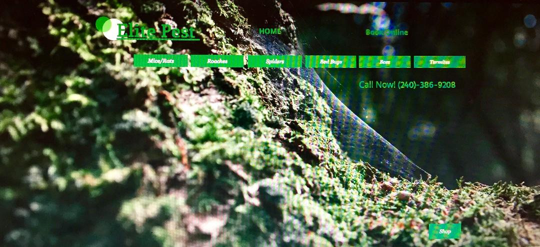 Elite Pest Control | Pest Control | Washington, DC