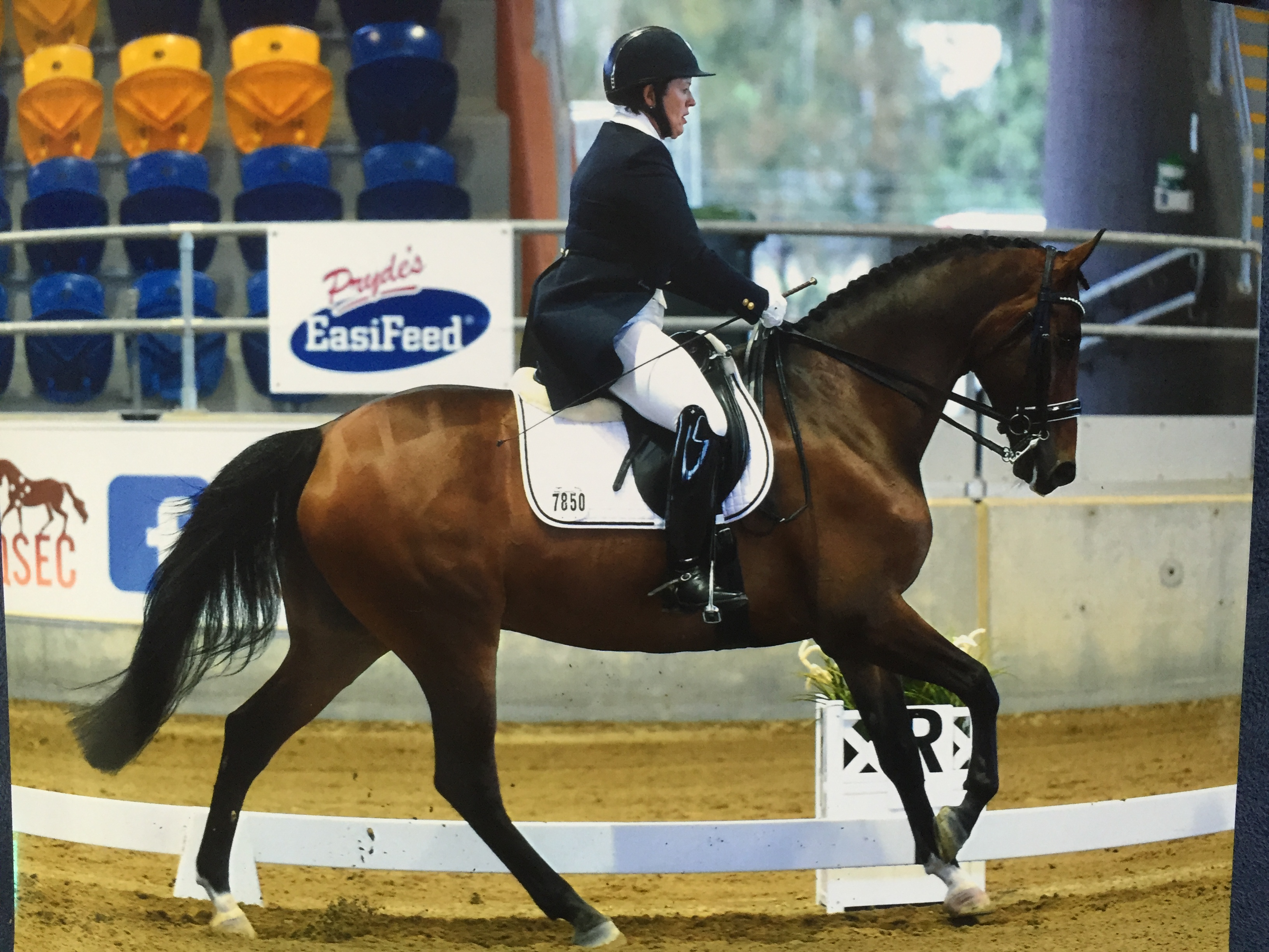 Gwandalan Stables | Riding Lessons, Agistment, Horse Training