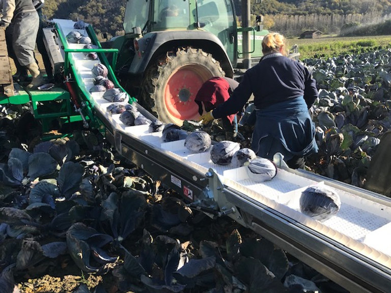 Delecroix Harvesting s'ouvre à de nouveaux marchés