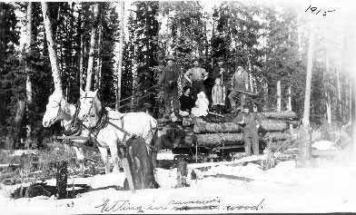 Knowlton Family logging ca 1915 | Stumptown Historical