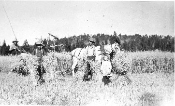 Farming - shocking hay | Stumptown Historical