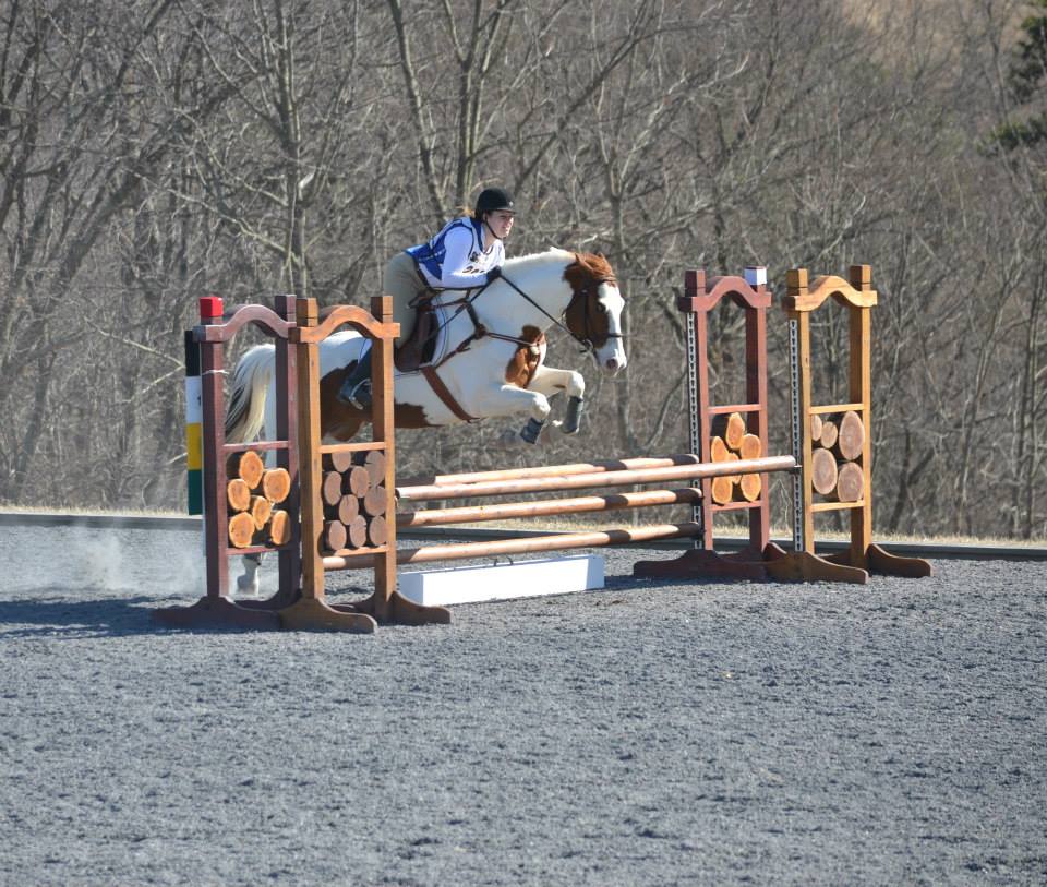 Horseback Riding Lessons and Summer Camp Frederick MD, Urbana MD, Hors