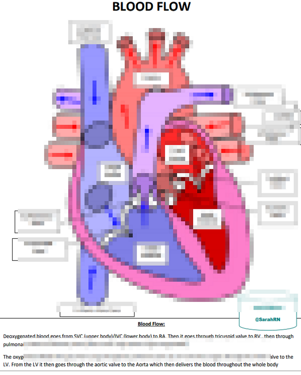 BLOOD FLOW Through The Heart DIAGRAM SarahRN BLOOD FLOW Through The Heart DIAGRAM SarahRN