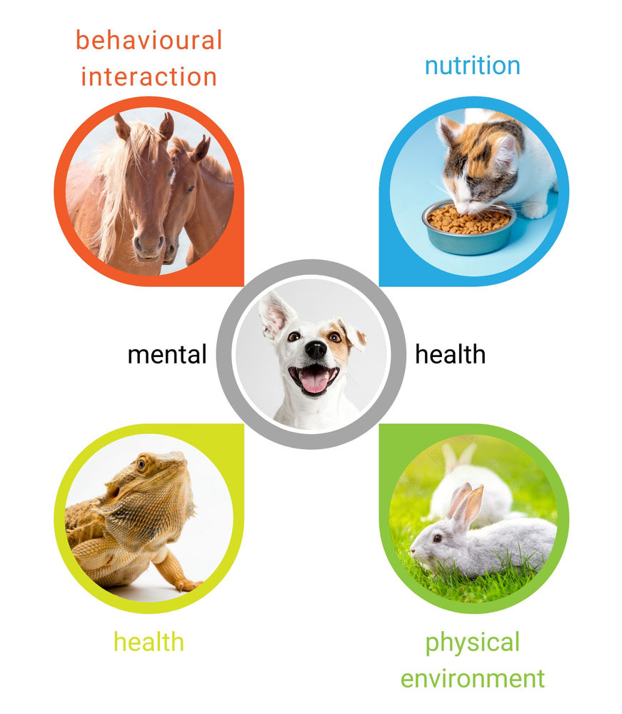 Five Domains of animal welfare