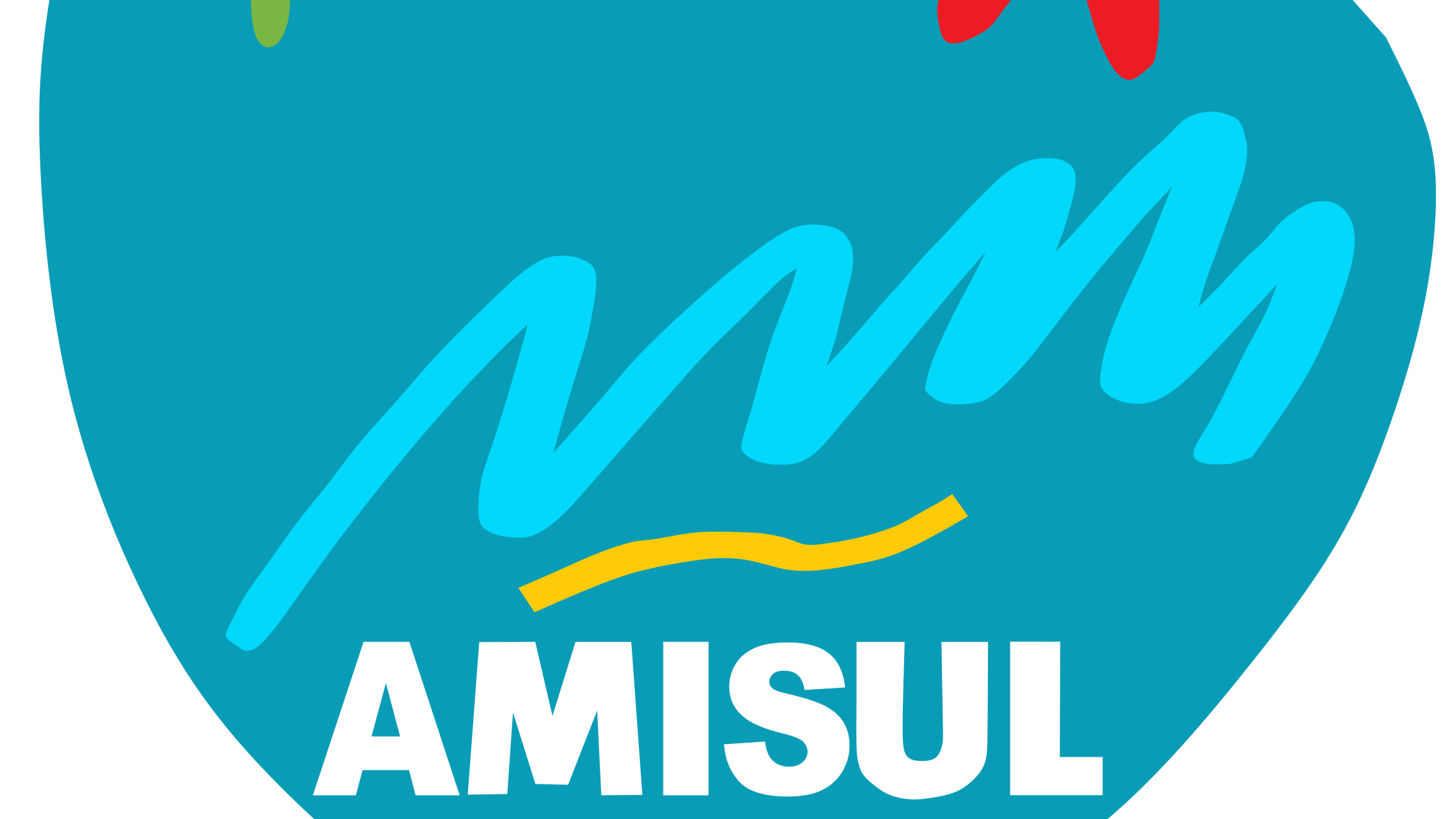 Home | Amisul