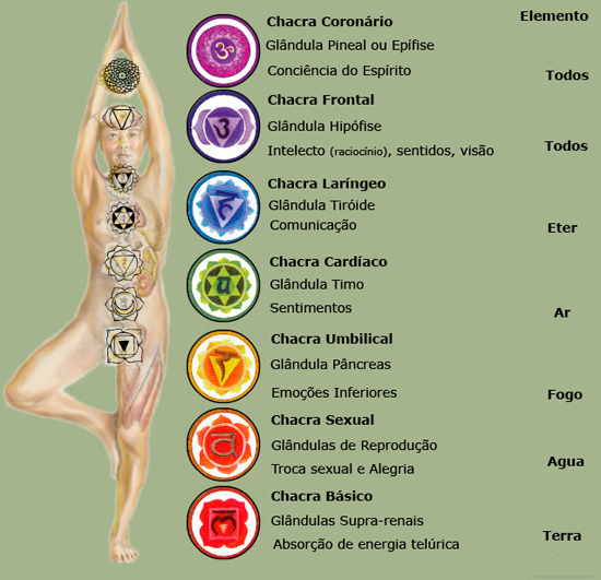 HOLÍSTICOnews: Os Chacras