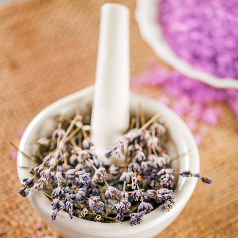 Dica Saudável | Lavanda: a planta medicinal que encanta.