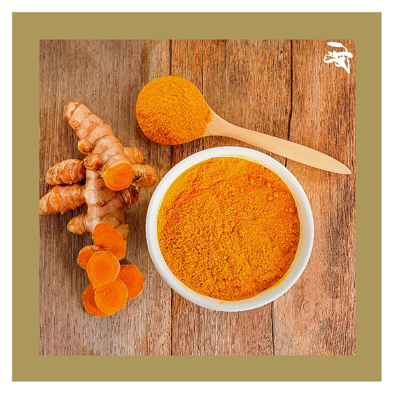Cúrcuma & Imunidade | Conheça o CurcuVail