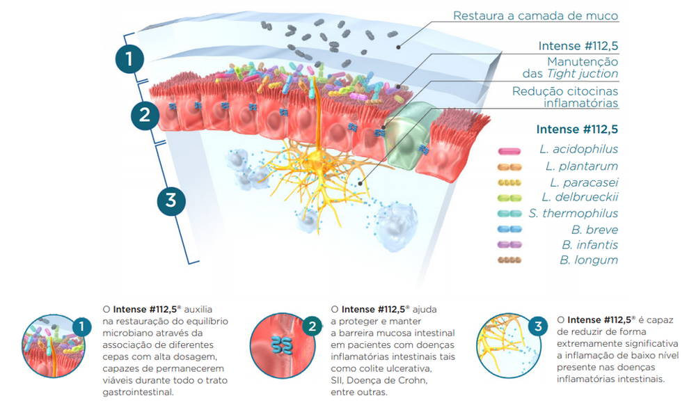 Intense #112,5® | A evolução dos Probióticos
