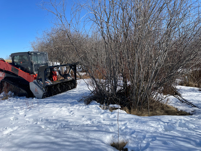 FAE BL4 High Flow Mulcher | Swift Fox