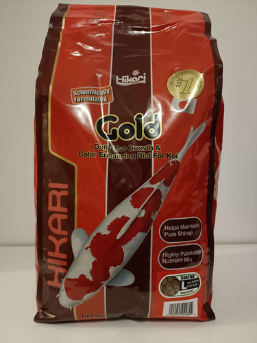 HIKARI GOLD | TQA KOI