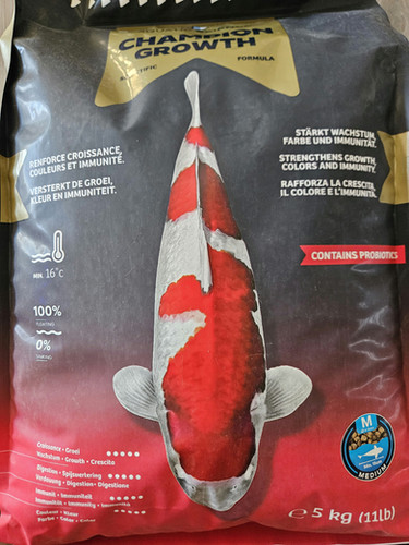 Champion food | TQA KOI
