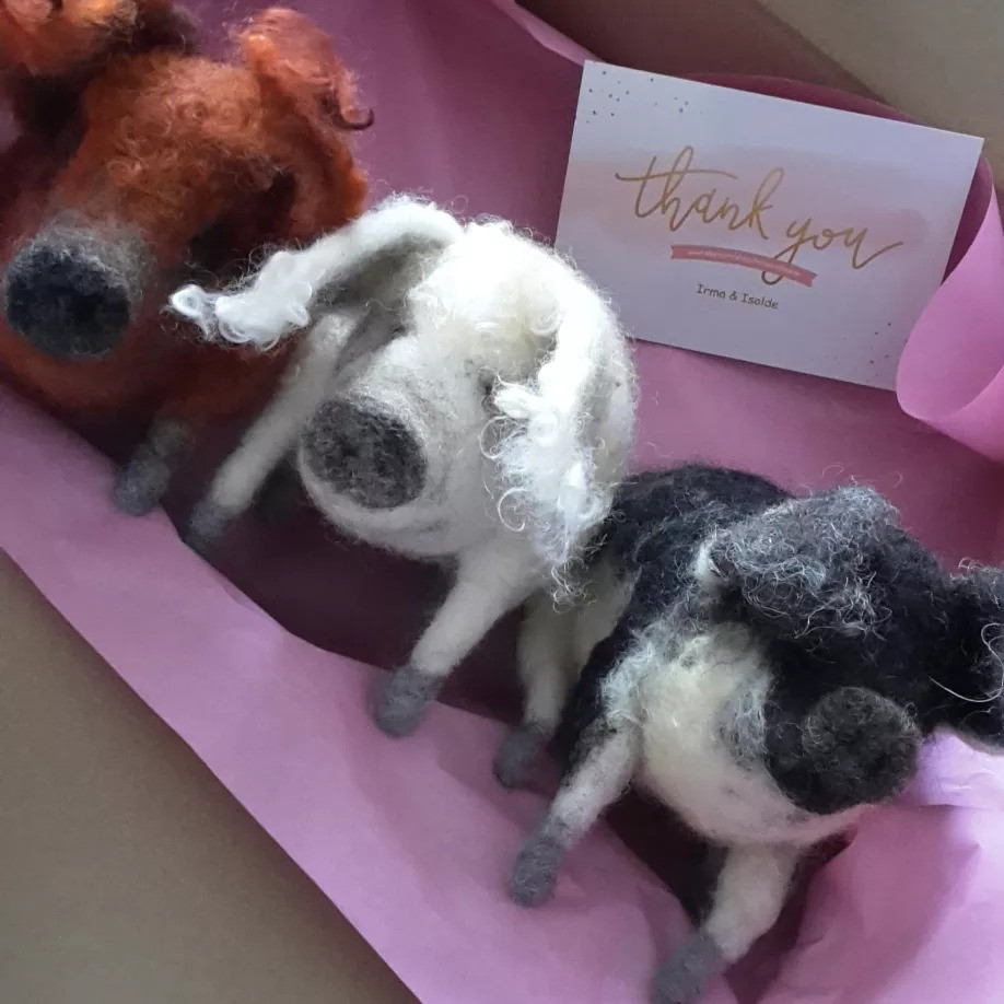 Anja - Felted Pigs | Royal-Mangalitsa