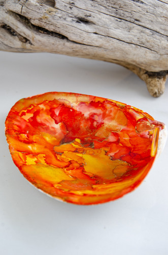 Fire Shell Bowl | Large | The Sea Wych