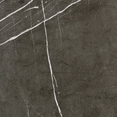 Pietra Grey Marble | Daya Stone