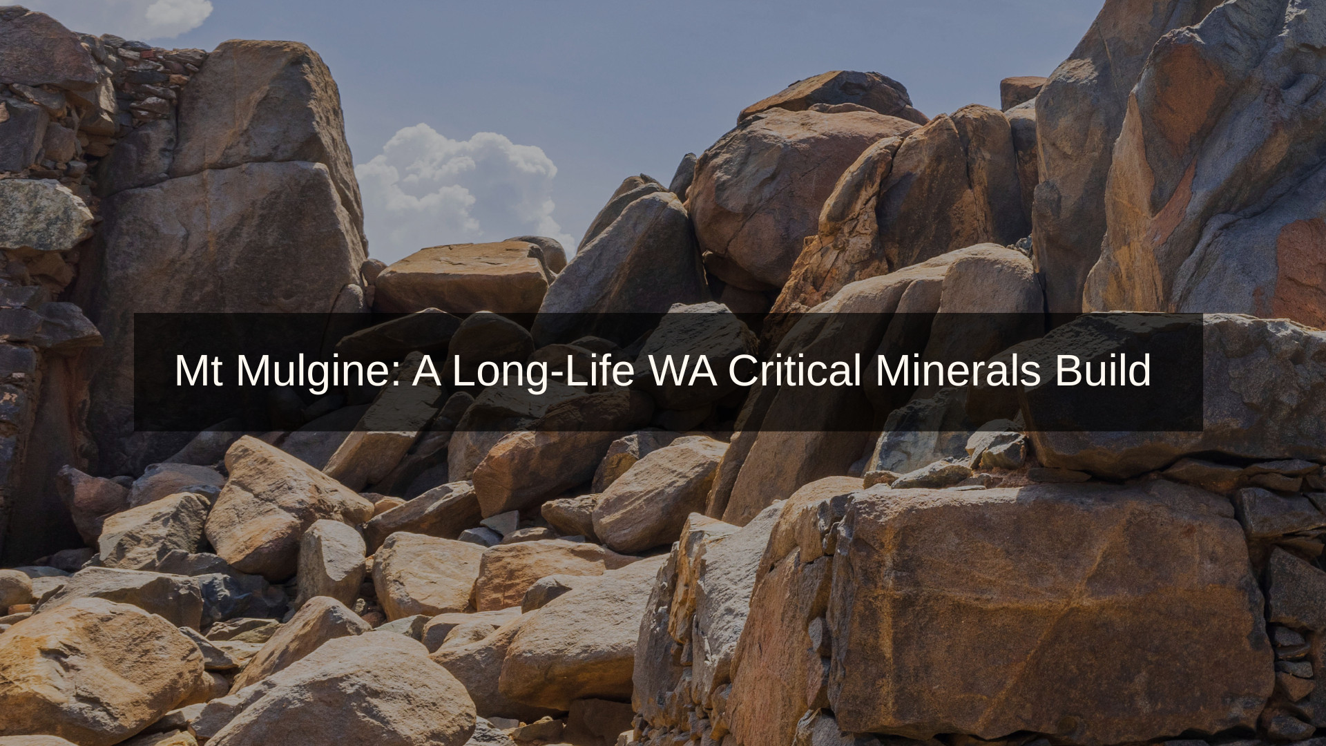 Mt Mulgine Scoping Study Demonstrates Globally Significant Critical ...
