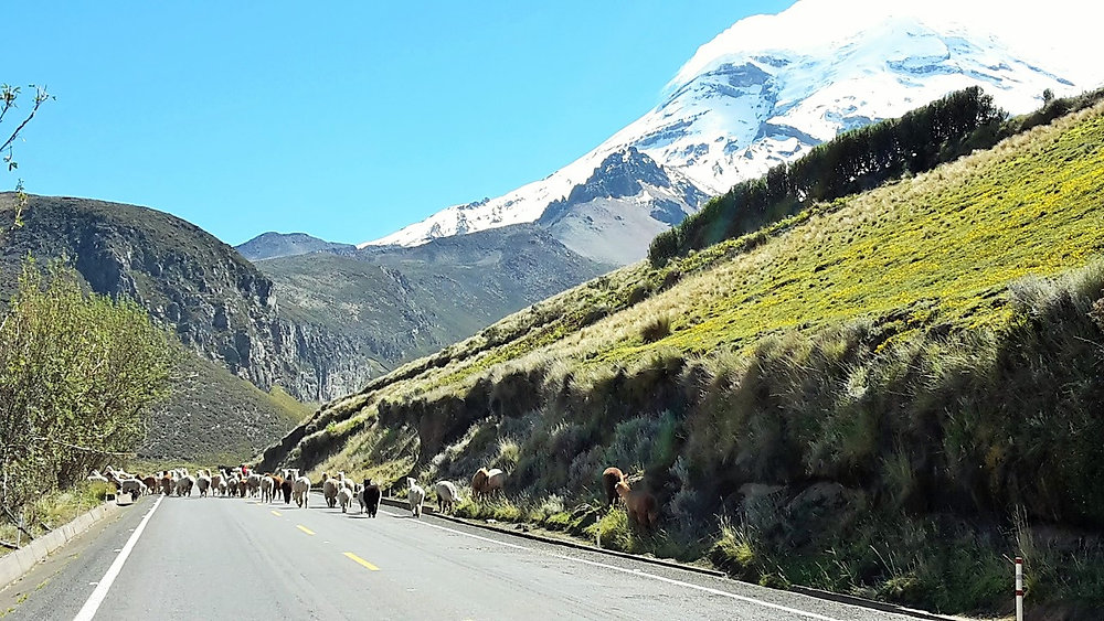 GRUPO DE INVESTIGACIÓN “PURUHÁ: ARQUEOLOGÍA E HISTORIA DE LA ...