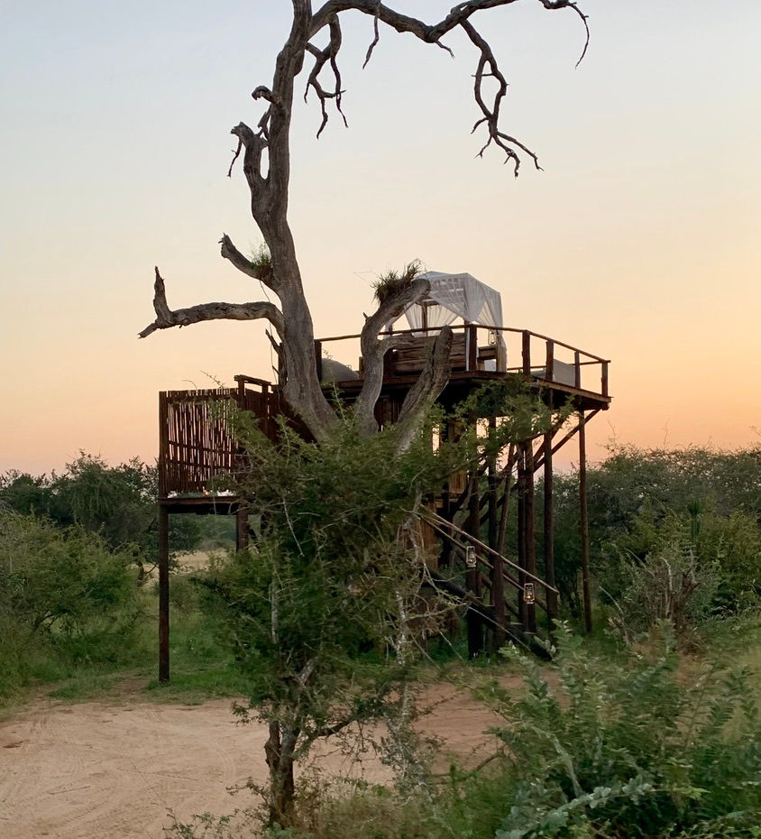 6 Things to know about staying in a treehouse in the middle of a South ...