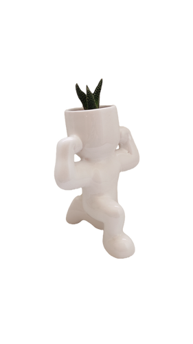 El fortachon | ImperioBonsai